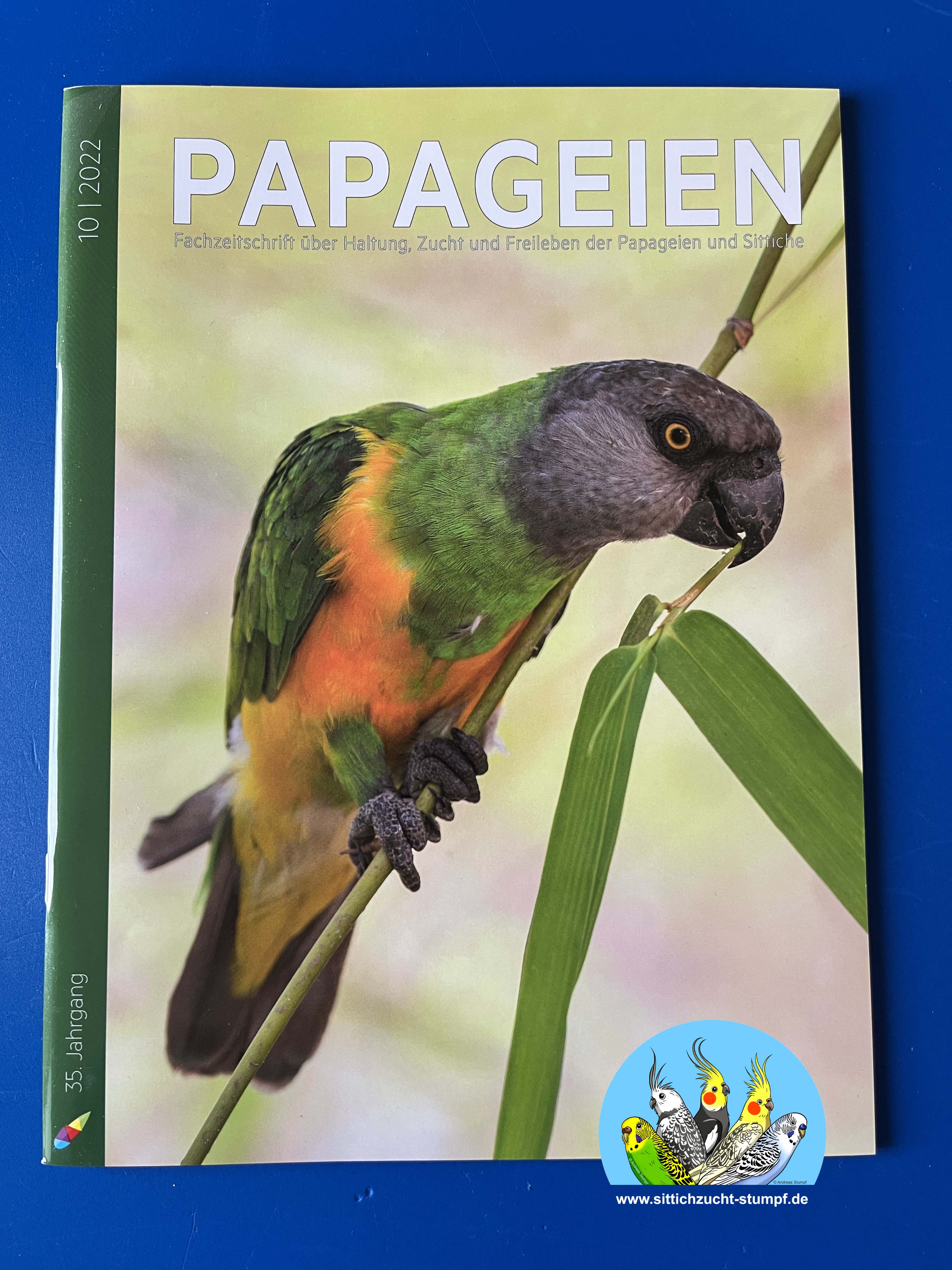 Imagedetailsprechende Papageien 2022 09 01797283
