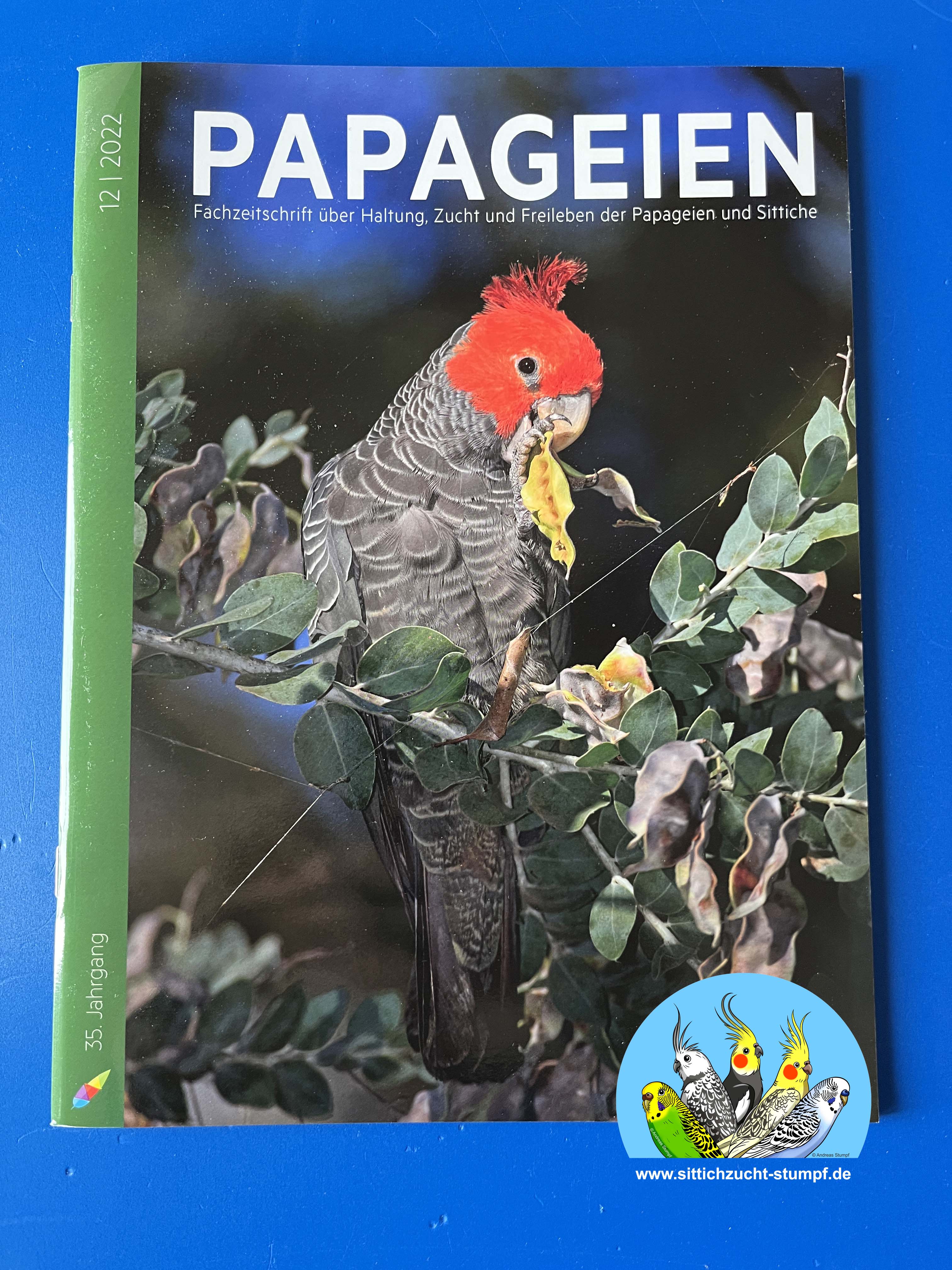 Imagedetailsprechende Papageien 2022 09 01797283